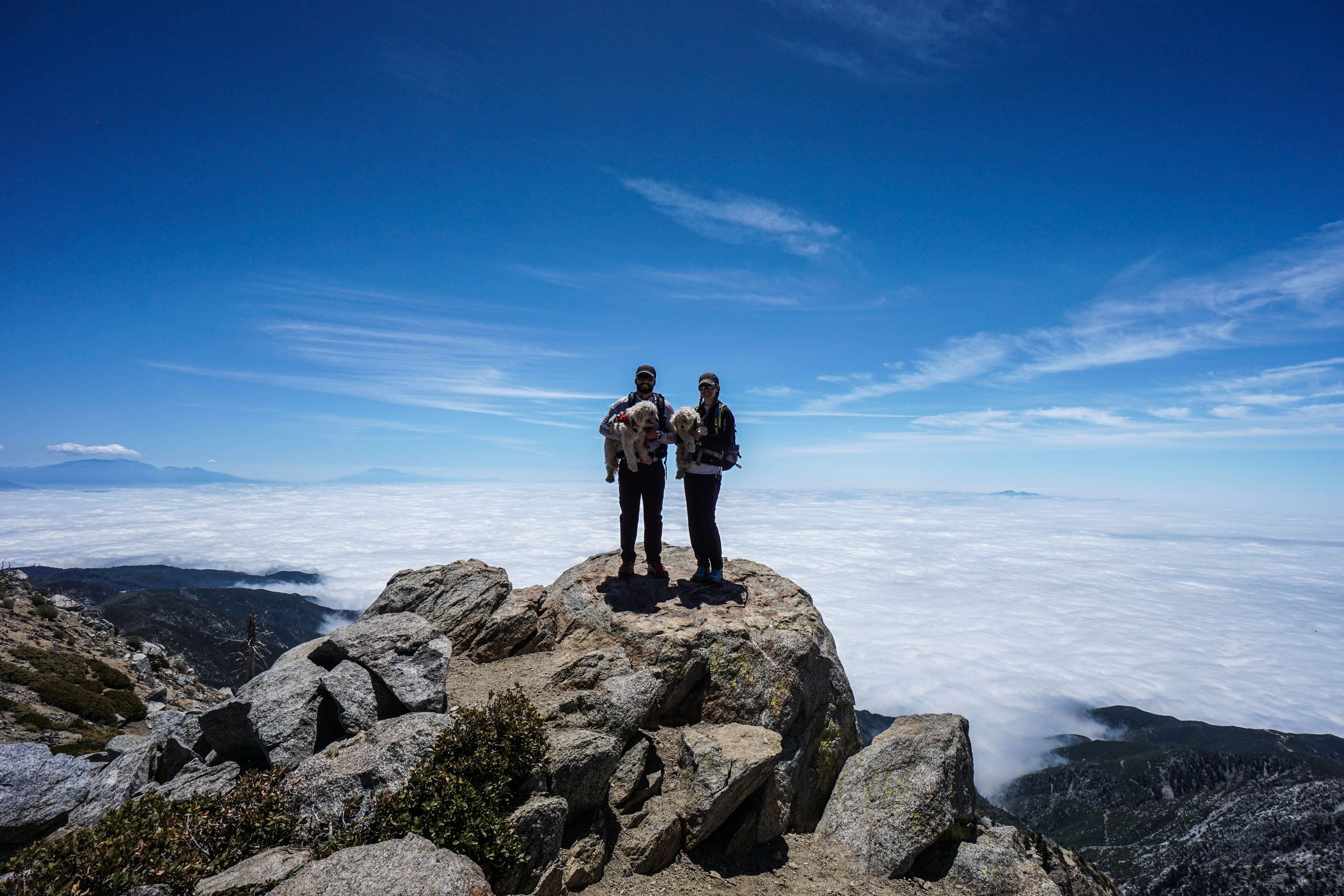 Cucamonga Peak via Icehouse Canyon - Trail to Peak