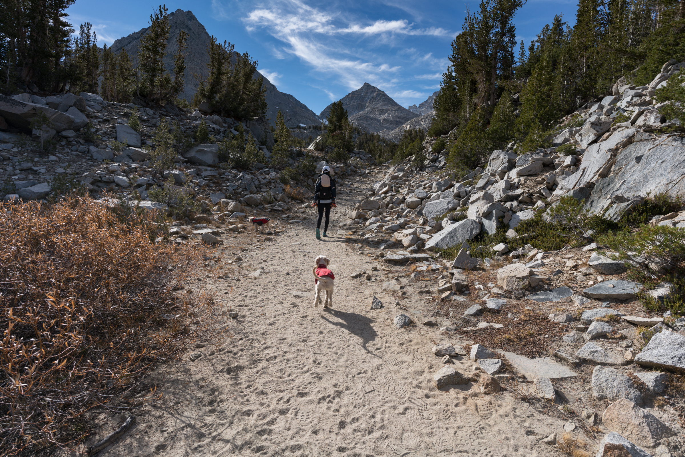 DSC09706 - Trail to Peak