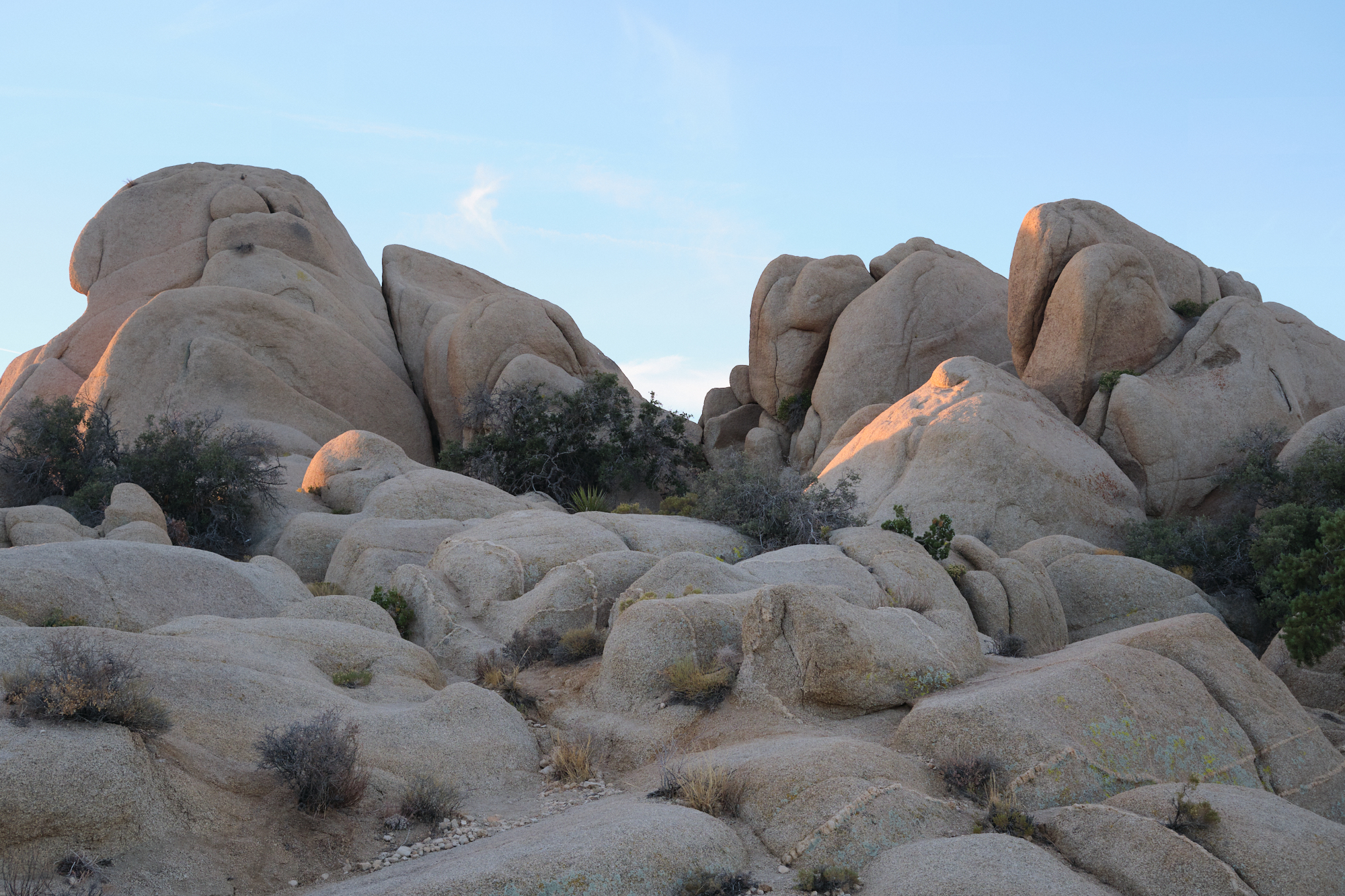 Camping At Jumbo Rocks In Joshua Tree Np And Hiking To Skull Rock Face